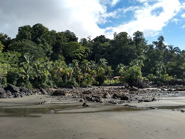 Nuqui - Pura Colombia